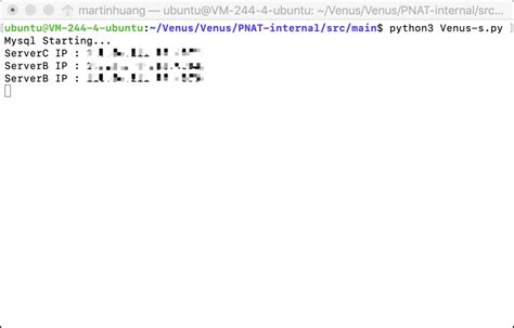 github mgsky1 venus 一个基于python的tcp内网穿透工具，支持向公网投射内网应用（实验，建议尝试dev分支）