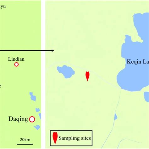 A Relative Abundance Bar Plot Of The Relative Abundance Of The Download Scientific Diagram