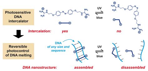 Photocontrol Of Dna Melting Hybridization At Constant Temperature Accepted In Nano Letters