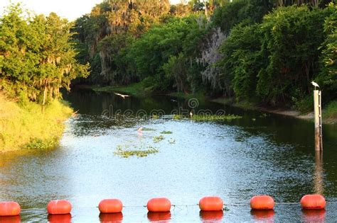 Lago Hancock Na Rampa Do Lago Hancock Foto De Stock Imagem De Monte