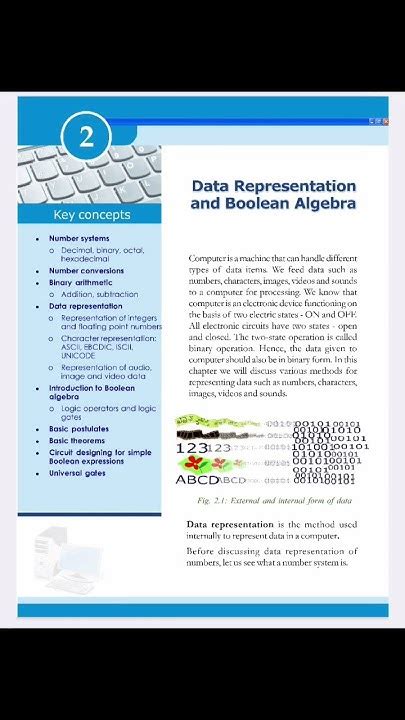 Computer Science Plus One Chapter 2 Data Representation D Boolean