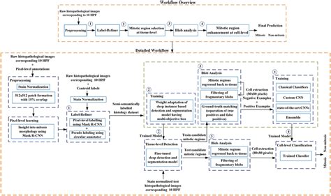 Complete Workflow Of The Proposed Multi Phase Mitosis Detection Download Scientific Diagram