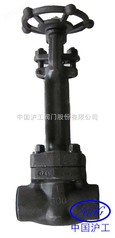 锻钢低温闸阀 泵阀商务网
