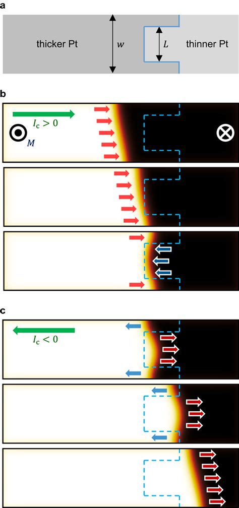 Unidirectional Unlocking Of Domain Walls A Typical Geometry Of The