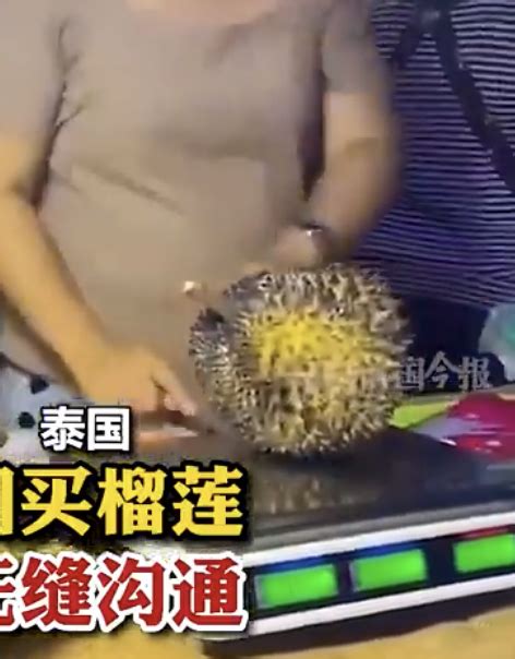 Photo Gallery น่ารัก สาวจีนซื้อทุเรียน พูด “ภาษาจ้วง” กับพ่อค้าชาวไทย แต่ก็สื่อสารเข้าใจกันได้