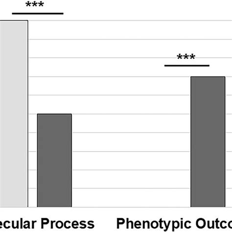 Babe And Expert Explanations Of What Is Gene Expression Focus On