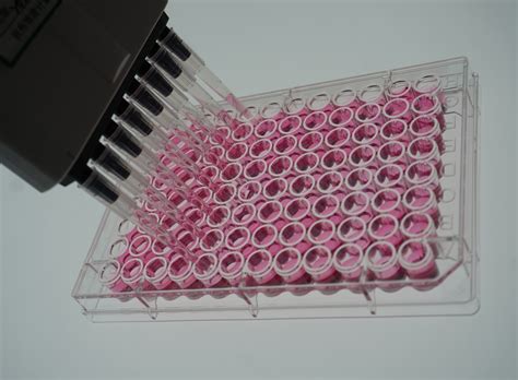 What Is A Well Plate Laboratory Equipment Guide