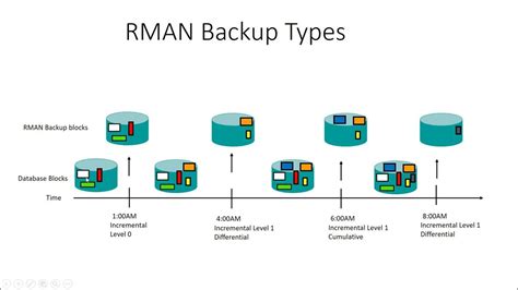 اوراكل داتابيس Rman Backup Types 19c Youtube
