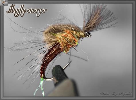 Holy Grail Nymph Sbs Step By Step Patterns Tutorials Artofit