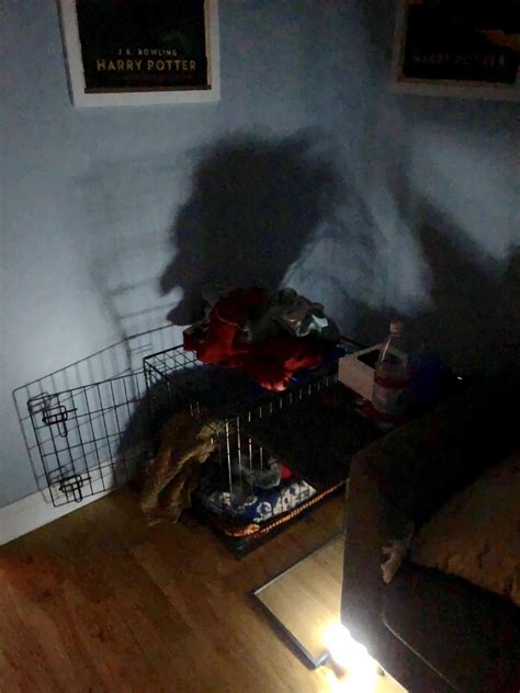 111 Best Count Olaf Images On Pholder ASOUE Mildlyinteresting And Vanderpumprules