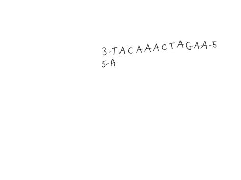Solved 2 What Is The Mrna Sequence For The Template Strand Dna Sequence In The Figure