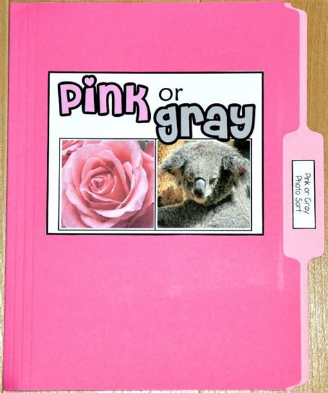 Pink Or Gray Sort File Folder Game Real Photos 1 00 File Folder Games At File Folder