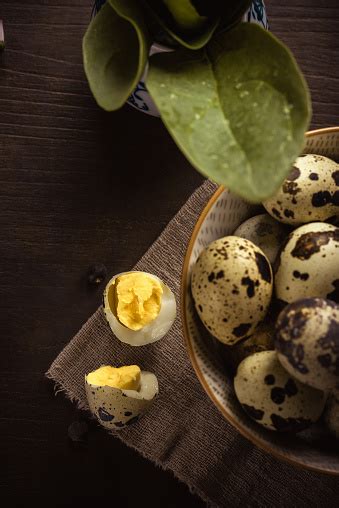 두 반쪽으로 깨진 메 추리 알에 상단 보기와 수직 사진 밝은 노란 색을 가진 좋은 노 른 자는 내부입니다 다음 달걀을 가진 그릇은 깨진 계란 옆에 있습니다 계란은 어두운