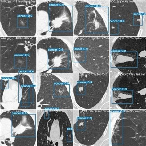 A Annotated Training Dataset B Labelled Test Dataset And C