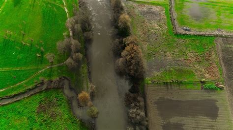 Riv Stain Object Detection Dataset By Artem Vasilev