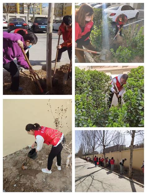 不负春光添新绿，阳春三月植树忙——学校师生到联创共建小区开展植树活动 邢台医学院