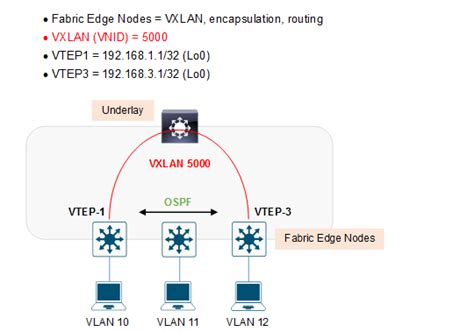 Top 10 Ccnp Encor Exam Topics Cisconet Training Solutions