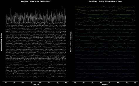Postprocessing Functions — Lbm Suite2p Python