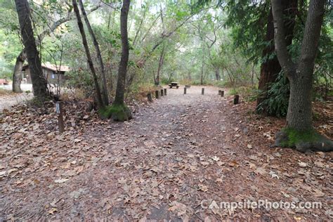 Pfeiffer Big Sur State Park Campsite Photos Campsite Availability Alerts