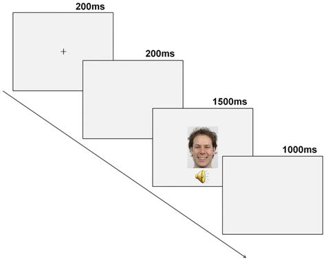 Schematic Illustration Of An Experimental Trial Download Scientific Diagram