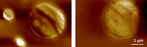 Infrared Imaging Fig1 Png