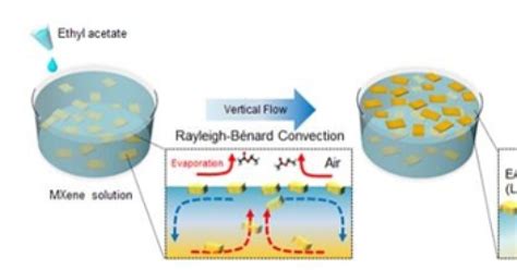 5g폰 전자파 99 차단하는 초박막 필름 기술 개발