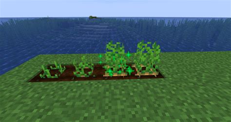 How To Use Bone Meal In Minecraft Player Assist Game Guides