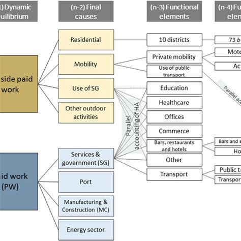 Dendrogram Of Functional Categories Across Hierarchical Levels For The