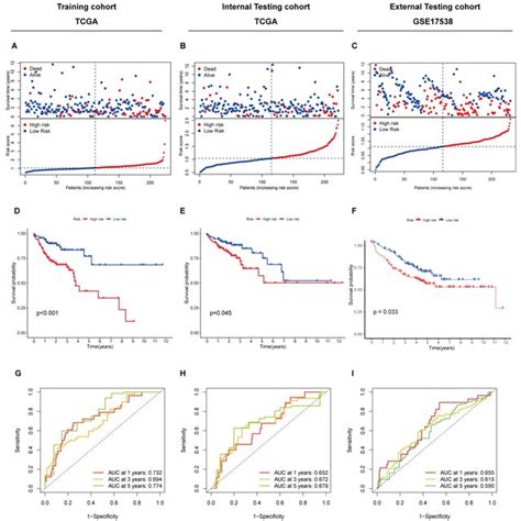 Construction And Validation Of The Cuproptosis Related Gene Signature