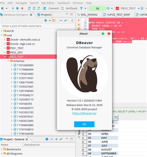 Unreadable Oracle Schema Names In Schema List Issue 8146 Dbeaver