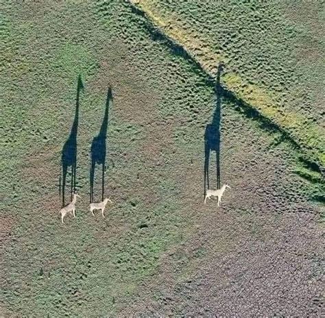 Ishti Mahmood On Linkedin When You Feel So Big Then You Have To