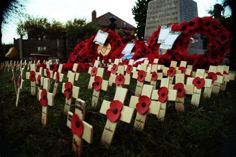 무료 이미지 공기 꽃 기념물 육군 장난감 세계 화환 크리스마스 장식 일요일 전쟁 먼저 양귀비 해군 십일월 잊다 힘 스카우트 둘째
