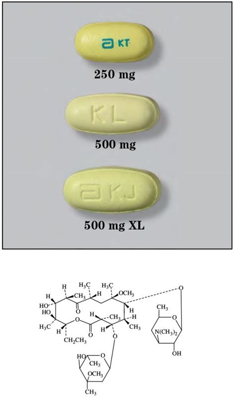 Clarithromycin Sigler Drug Cards