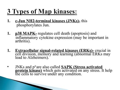 Enzyme Linked Receptor Ppt