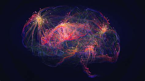 The Incredible Map That Shows Every Neuron In The Brain