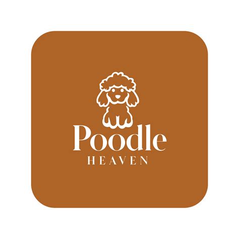 Silver Poodles Info Genetics Temperament Care And Cost