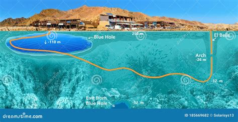Egypt Diving Spots At Isabel Kleeman Blog