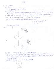 Prelab Pdf Course Hero