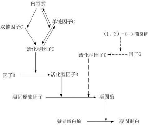 Recombinant Limulus Three Factor Reagent And Method For Detecting