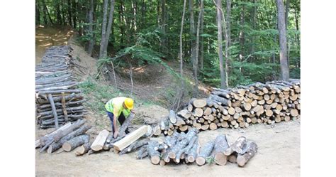 Промени в наредба ще увеличат дела на продажбите на дървесина и възлагането на дейности в горите