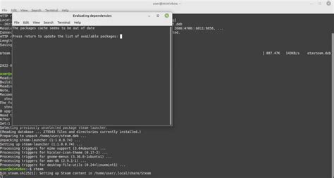 How To Install Steam On Linux Mint 20 ImagineLinux