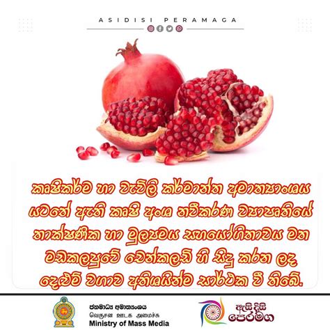 Asidisi කෘෂිකර්ම හා වැවිලි කර්මාන්ත අමාත්‍යාංශය යටතේ ඇති කෘෂි අංශ නවීකරණ ව්‍යාපෘතියේ තාක්ෂණික