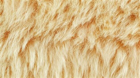Premium Ai Image Fur Texture Background
