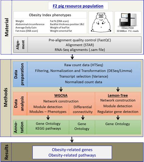 Workflow Of The RNA Seq Data Analysis Download Scientific Diagram