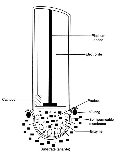 biosensor enzyme technology