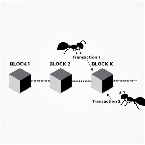 Scalable Blockchain Protocol Algorand Raises 4m In Seed Funding Siliconangle