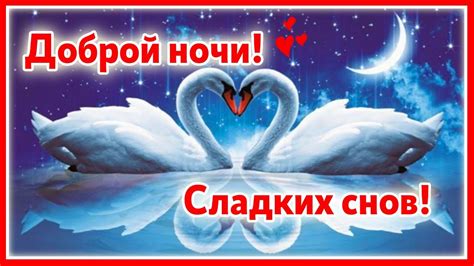 Доброй ночи! Сладких снов! - YouTube