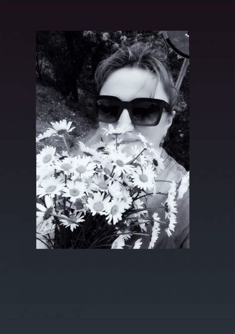 მზე შემოდგომისა ფოტო სურათი