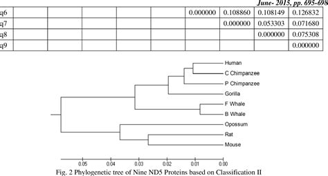 Figure 2 From Differentiation Of Protein Sequence Comparison Based On Biological And Theoretical