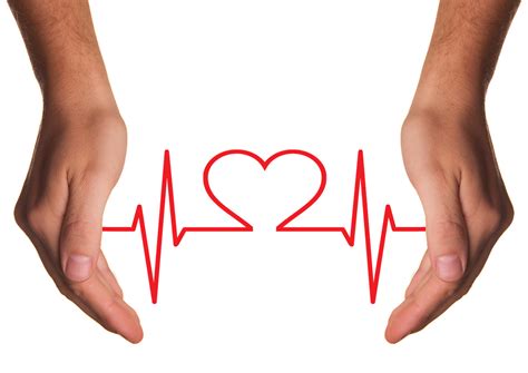 Explore 21487 Free Heart Health Illustrations Download Now Pixabay